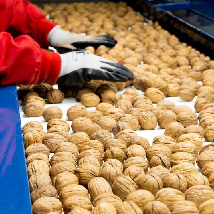 Employement – Crain Ranch